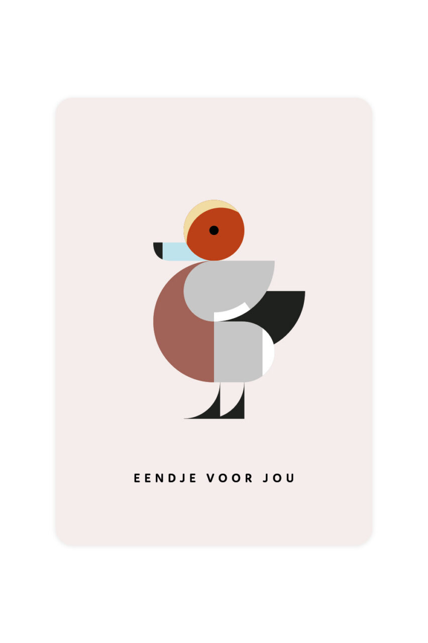 Set van 10 Ansichtkaarten | Zo'n Eendje zie je zelden | Eendje.net