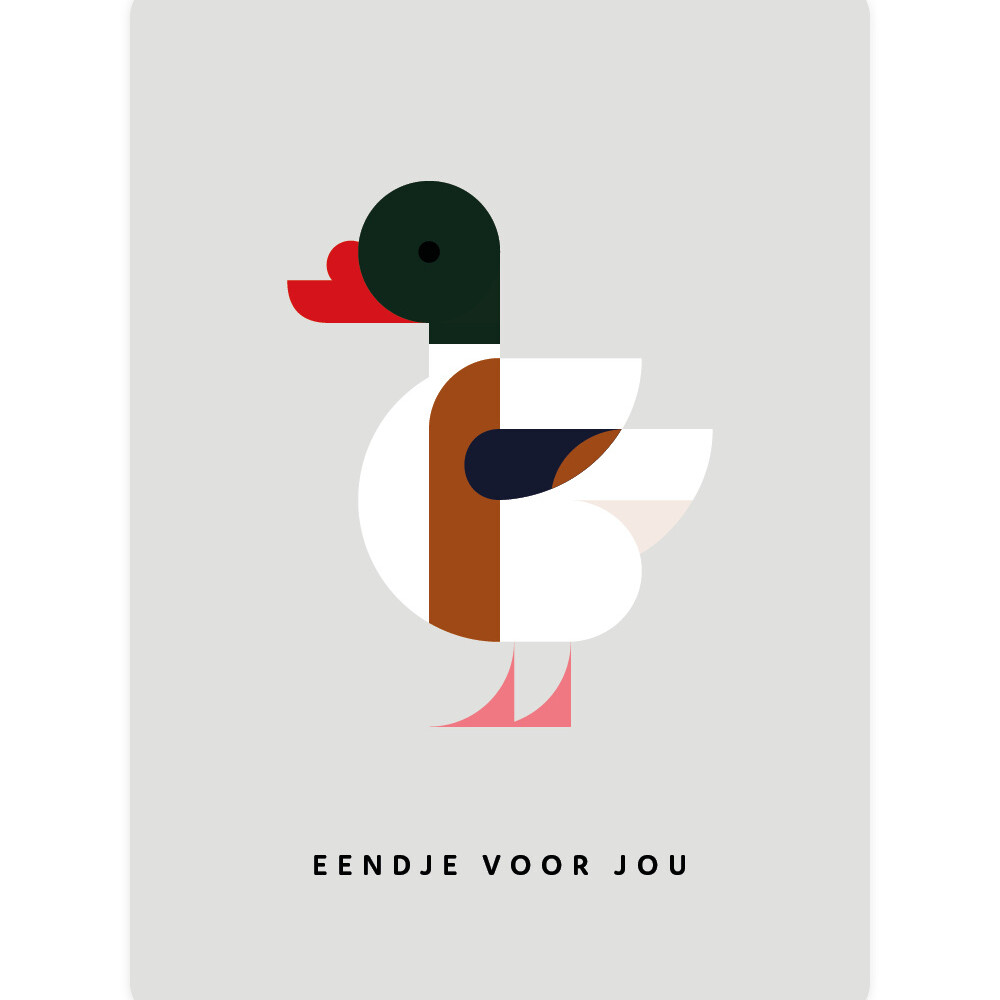 Set van 10 Ansichtkaarten | Zo'n Eendje zie je zelden | Eendje.net