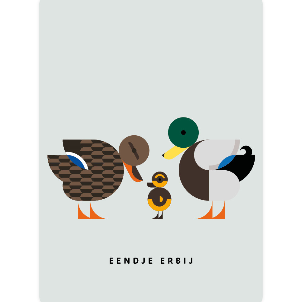 Eendje erbij | Wilde Eenden | Zo'n Eendje zie je zelden | Eendje.net
